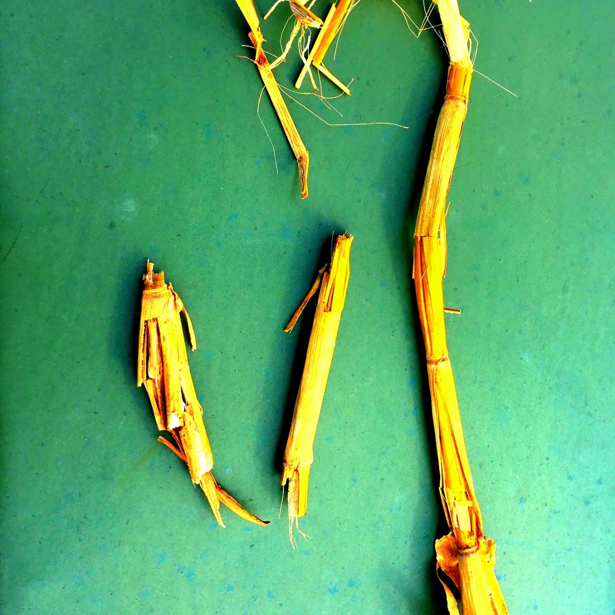 Yield 360 Chain Rolls vs Deere Intermeshing Knife Rolls – Sloan Support