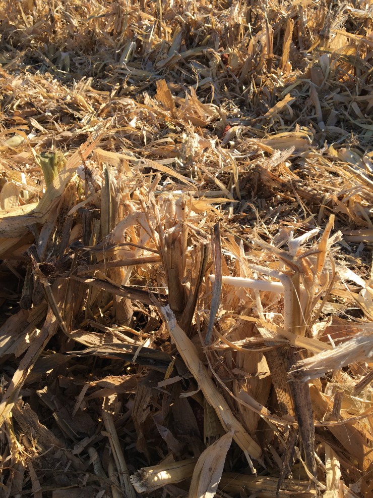 John Deere RowMax Chopping Corn Head Stalk Rolls – Sloan Support